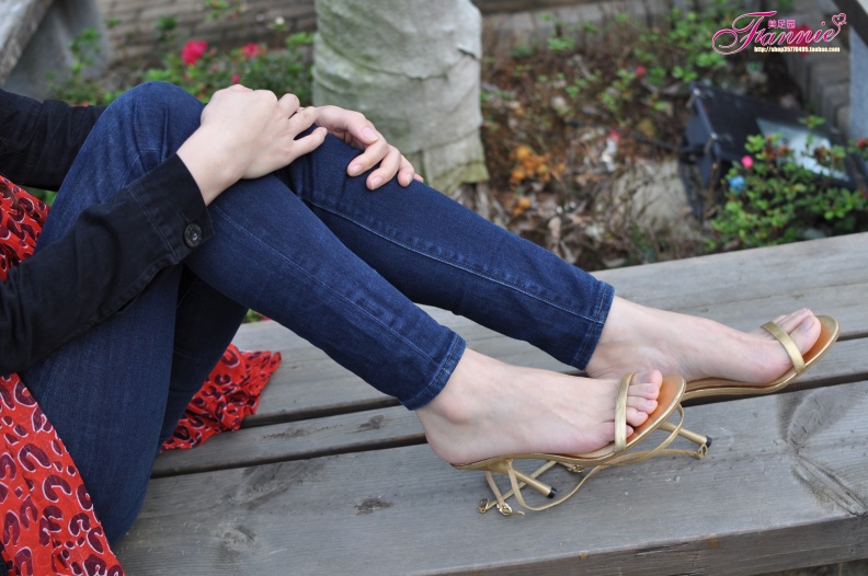 DSC 1377 | （福妹）主题相册